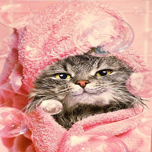 Scrub Up Well – Card King